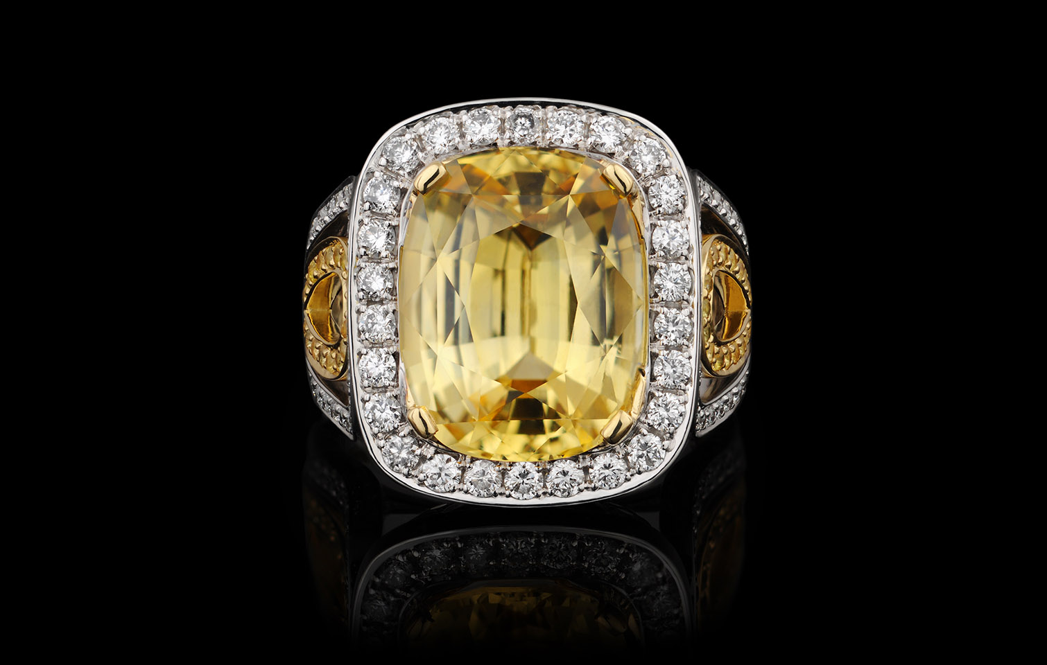 Copyright James Knapp